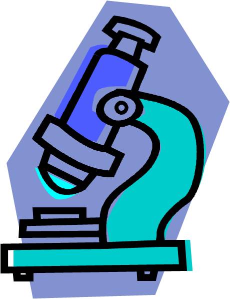 Geometry and Biology